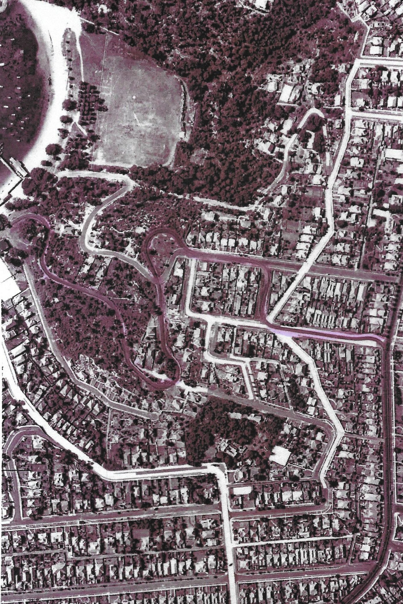 The Balmoral Tram | Lost Mosman